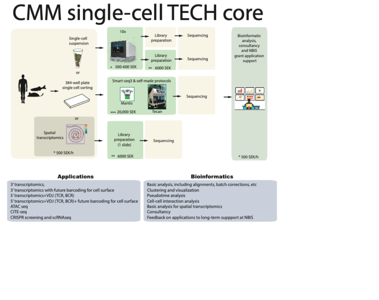 Cell Observatory (Single Cell) Core – CMM