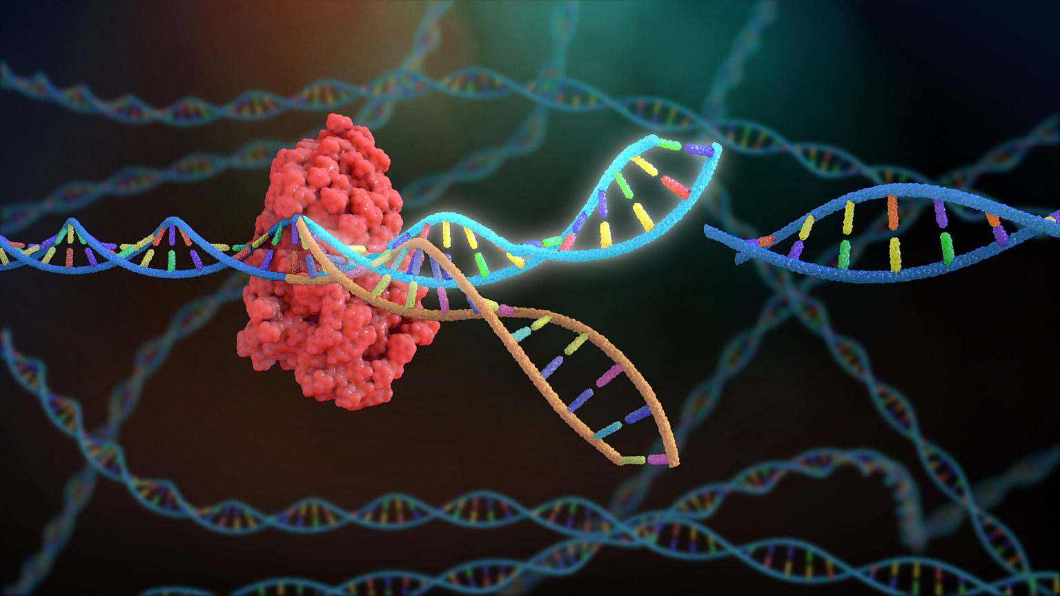 CRISPR epigenome editors show complex on- and off-target effects – CMM